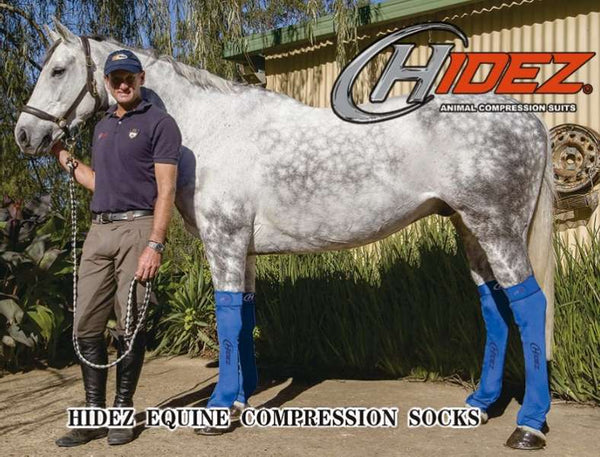 HIDEZ Compression Socks FRONTS - for Horses - Gone RIDING