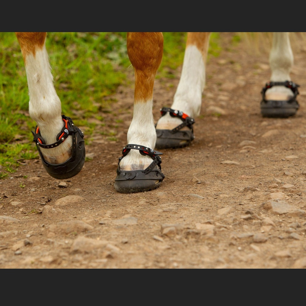 Explora Magic Hoof Boots - ONE PAIR, by Horse Solution - Gone RIDING