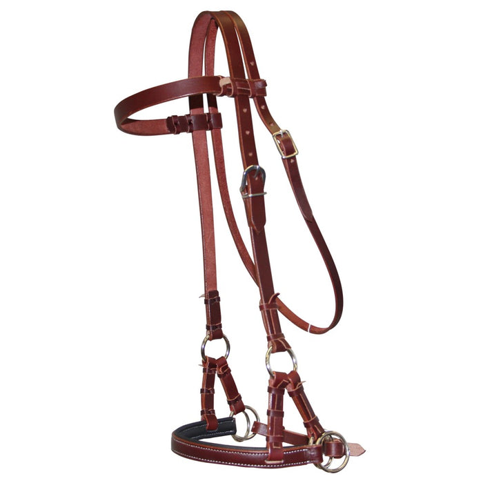 Bitless Bridles - Gone RIDING