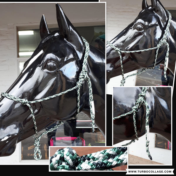 Halters - Gone RIDING